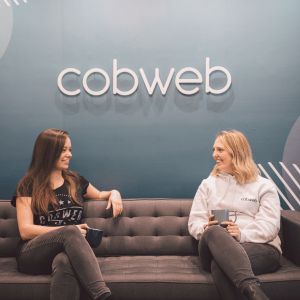 About Us - Cobweb